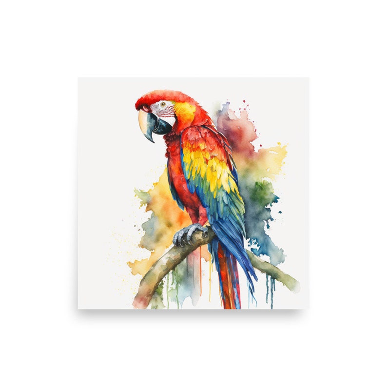 Scarlet Macaw Watercolor Poster - Etsy