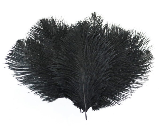 Black Ostrich Plumage Feathers Dyed 5-8" Feathers | 10 Pieces - Etsy