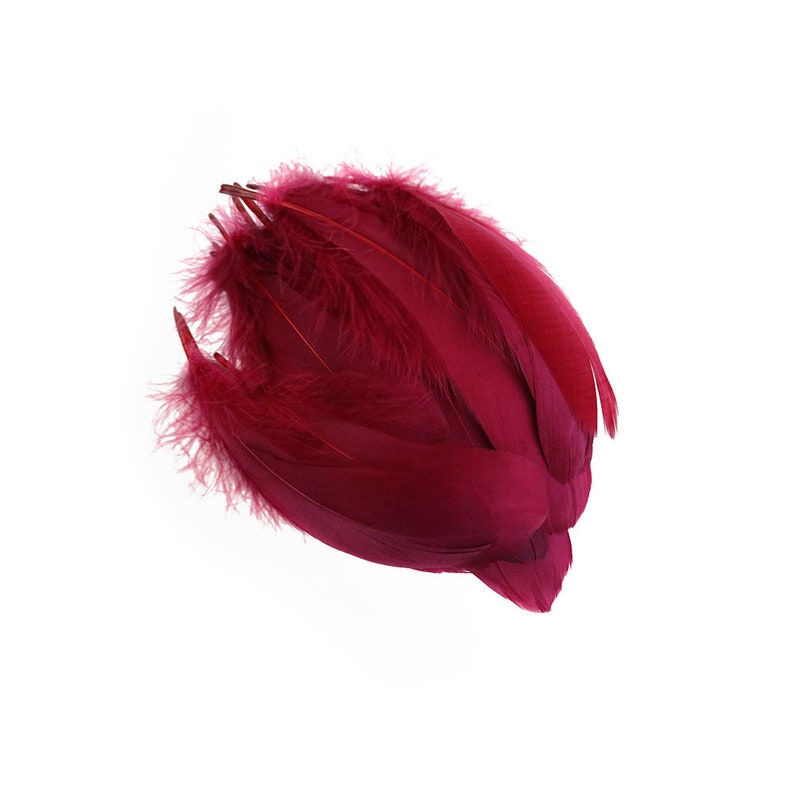 Dyed Wine Red Real Goose Coquille Feathers 5-7 - Etsy