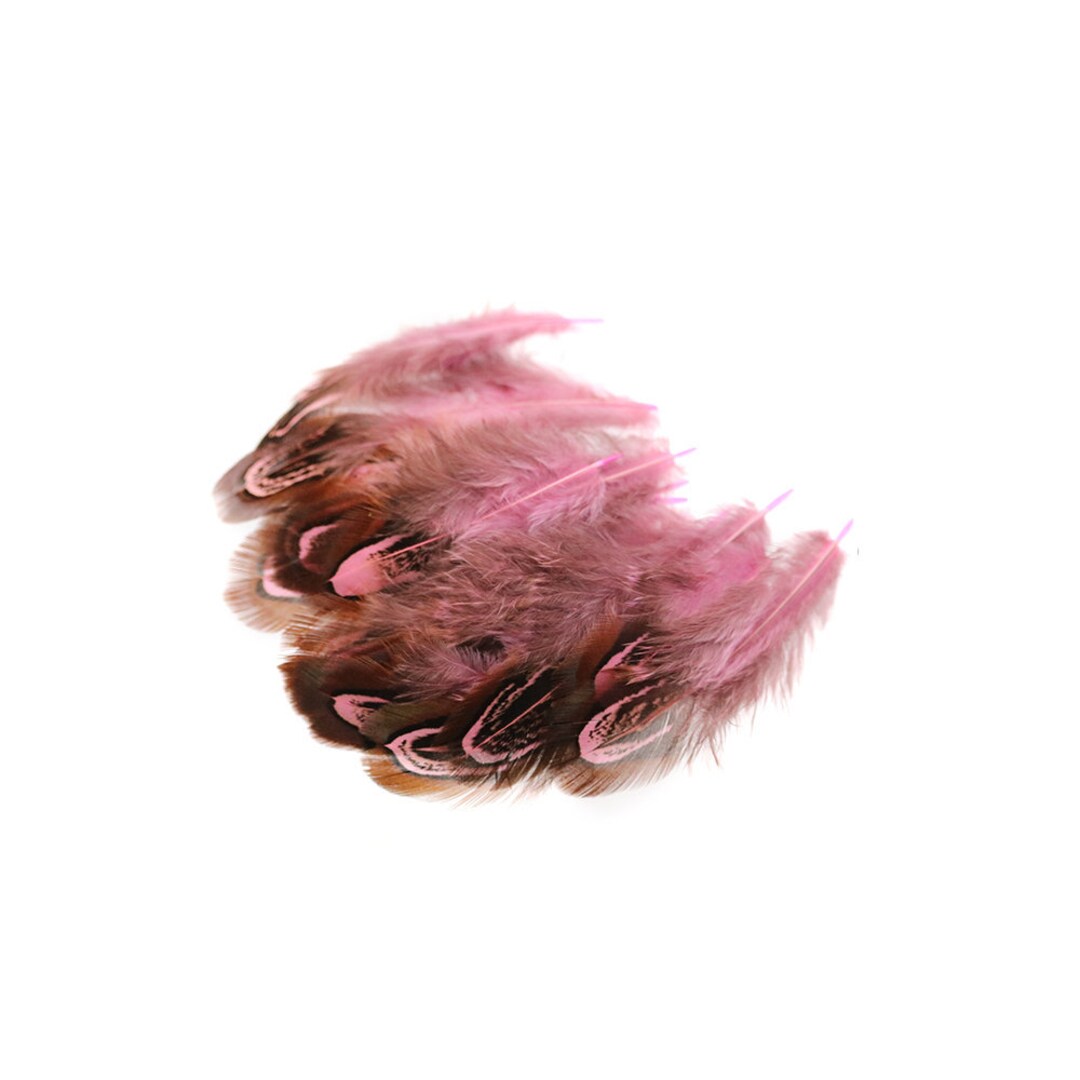 Pink Dyed Ringneck Pheasant Almond Plumage Feathers 2-3.5"| 25 Pieces ...