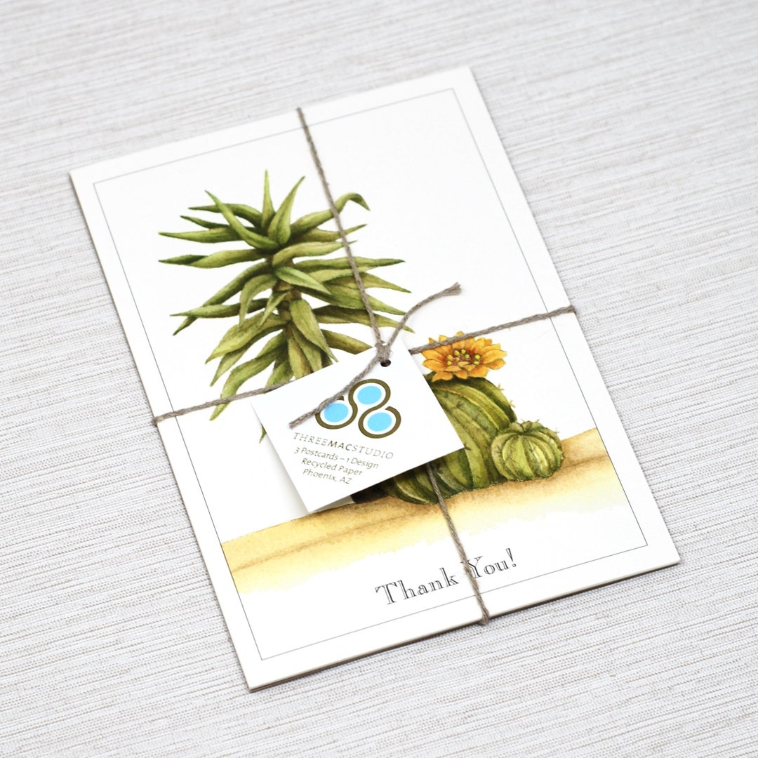 Arizona Desert Thank You Postcards: Set of 3 - Etsy
