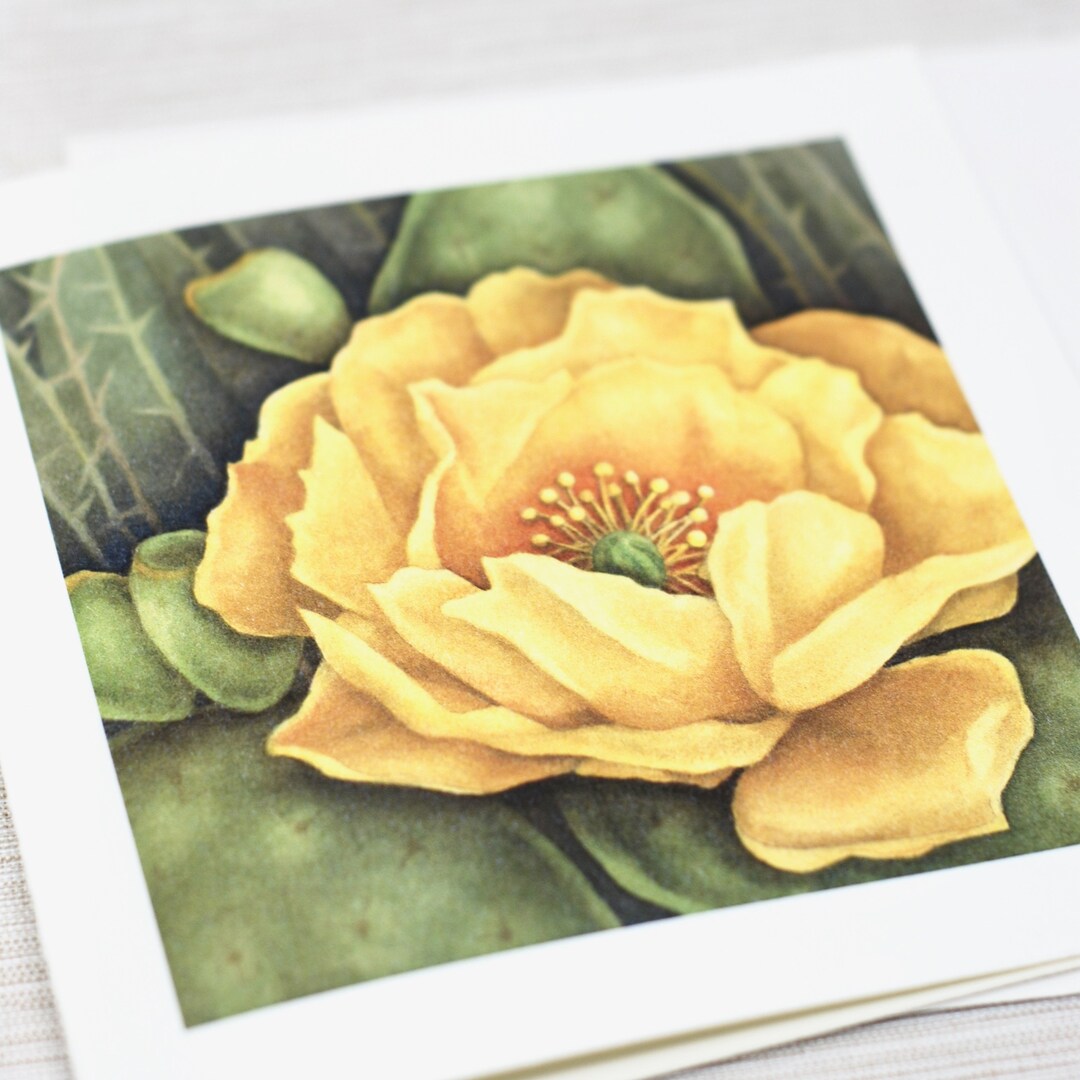 Cactus Flower Note Cards: Box of 10 - Etsy