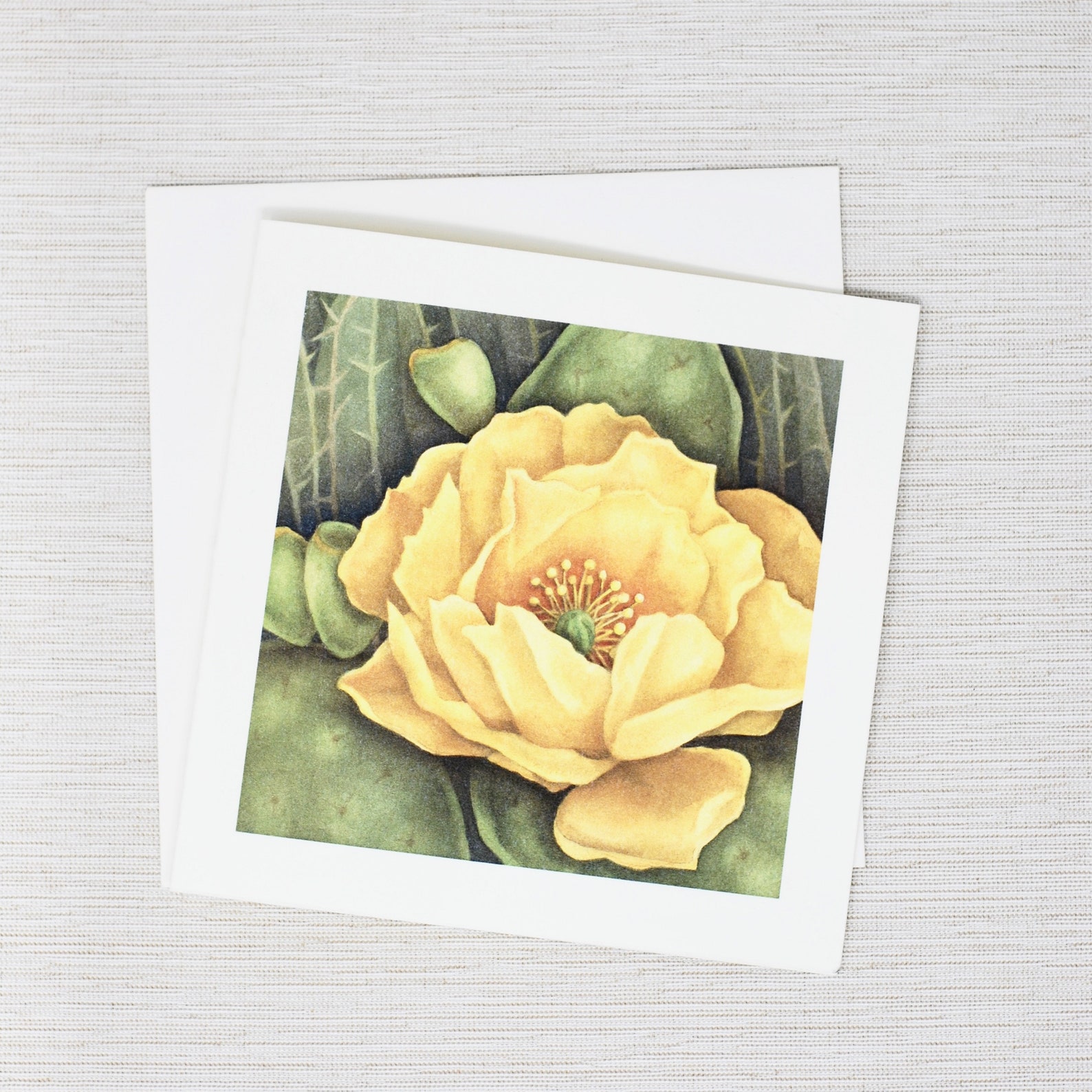Cactus Flower Note Cards: Box of 10 - Etsy