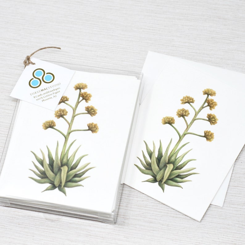 Century Plant Notecards: Box of 8 - Etsy