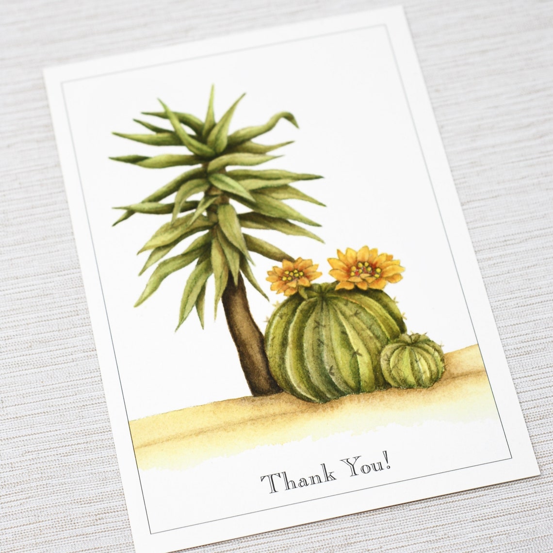 Arizona Desert Thank You Postcards: Set of 3 - Etsy