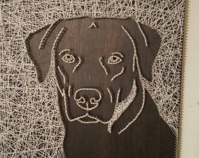 Lab Face String Art 16x16 | Etsy