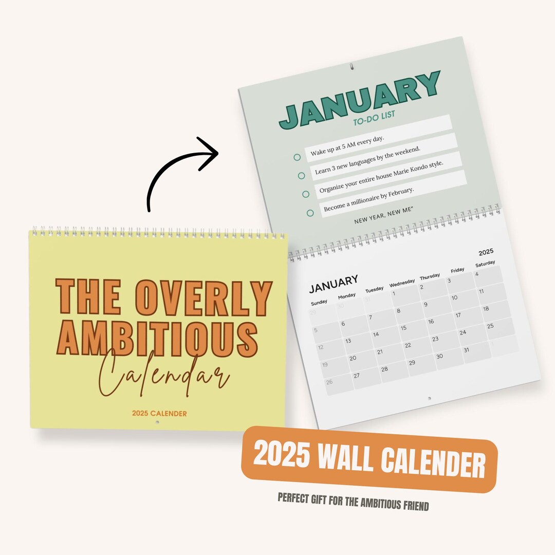 Funny 2025 the Overly Ambitious Wall Calendar, Unhinged Calendar, Gift ...