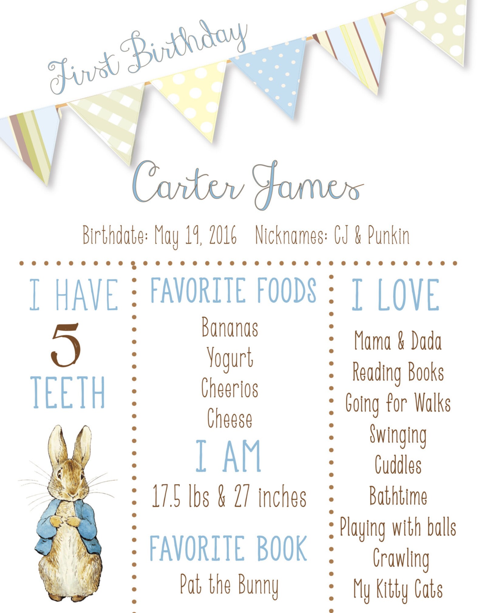 Peter Rabbit Birthday Chart Printable/digital File/any - Etsy