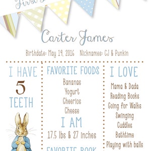 Peter Rabbit Birthday Chart Printable/digital File/any Size/stats Chart ...