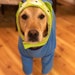 Alien Dog Costume, Toy Story Alien Dog Outfit, Halloween Dog Outfit ...