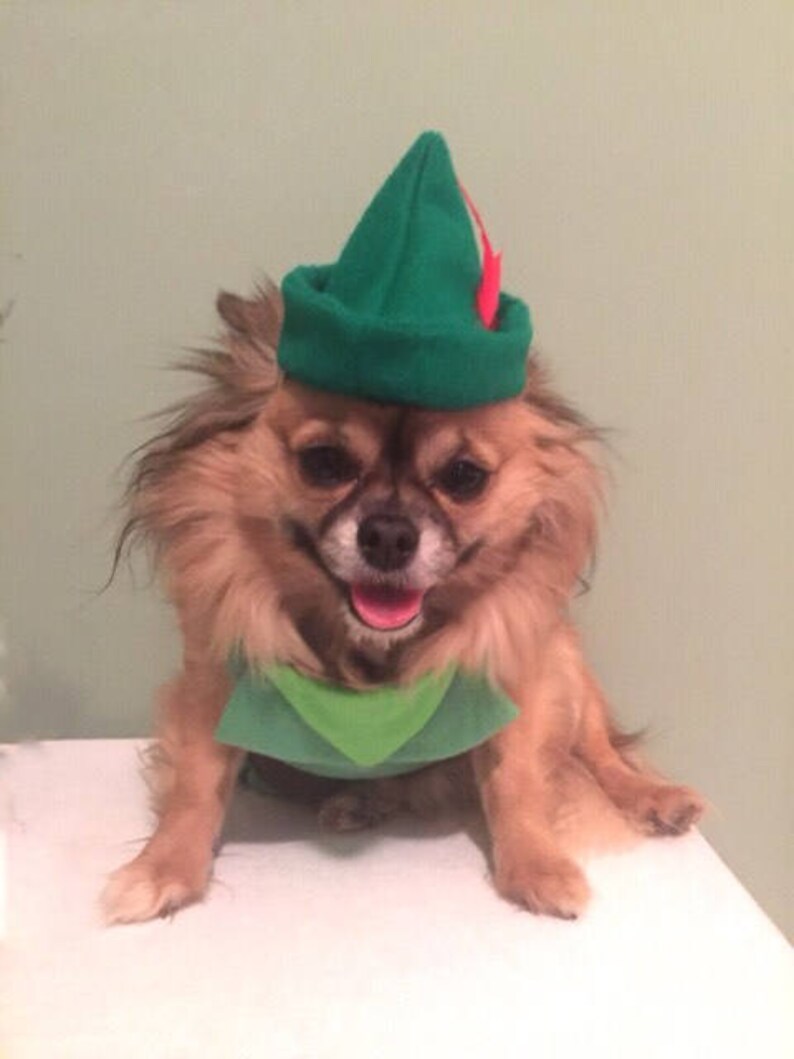 Peter Pan Peter Pan Dog Costume Peter Pan Dog Outfit Robin - Etsy
