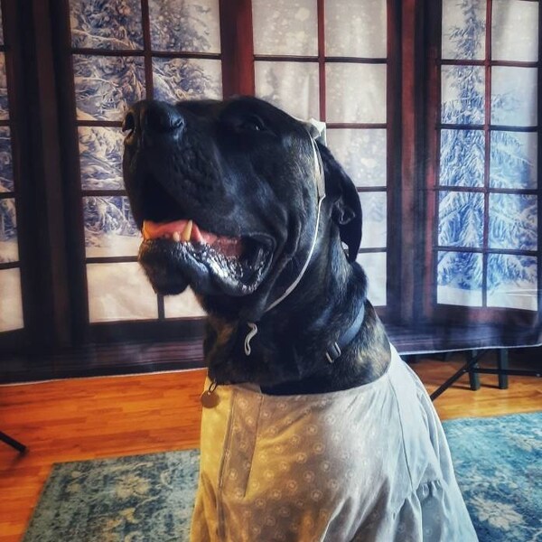 Ebenezer Scrooge Pajamas - Etsy