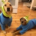 Alien Dog Costume, Toy Story Alien Dog Outfit, Halloween Dog Outfit ...