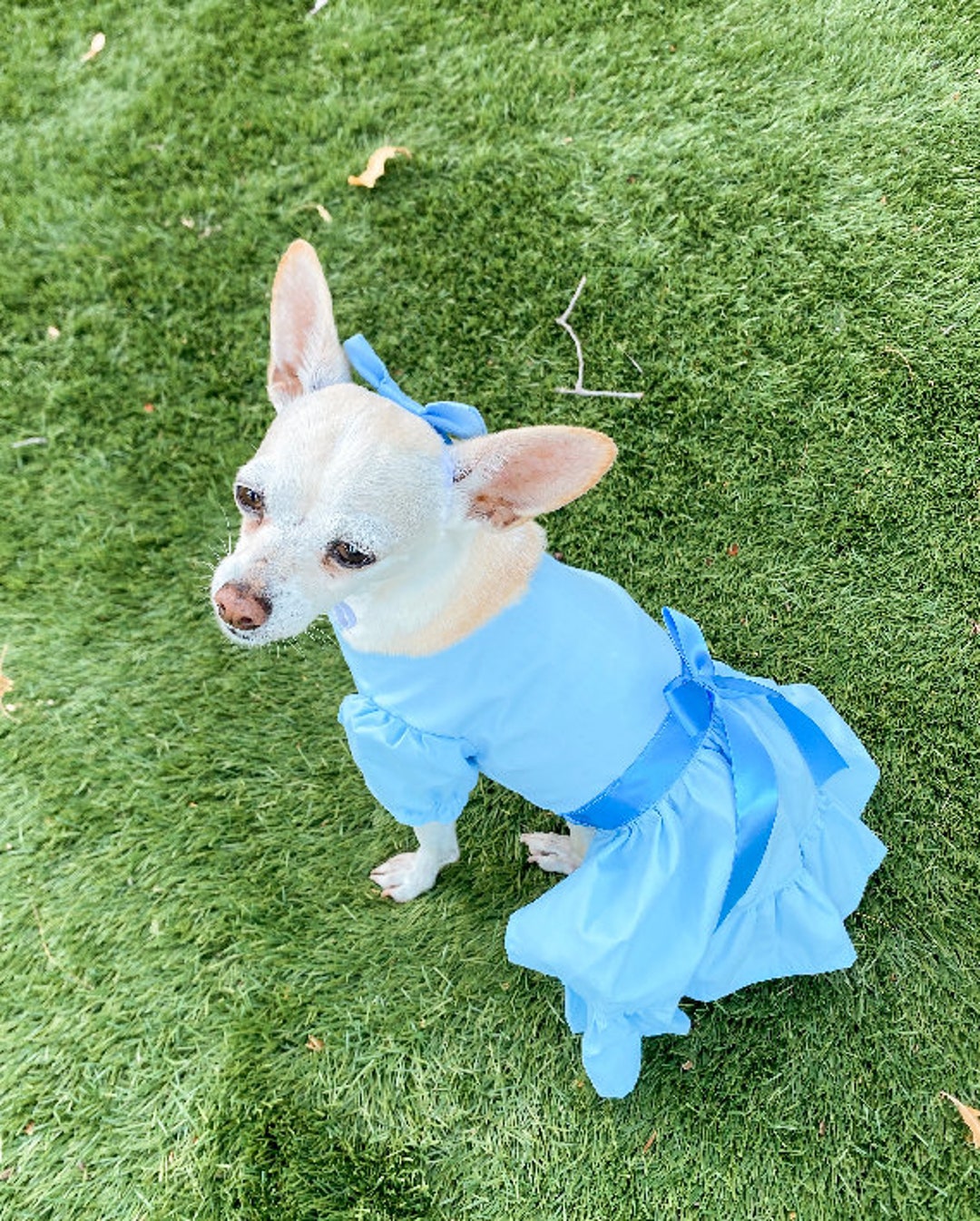 Wendy Nightgown Dog Costume, Peter Pan Dog Costume, Wendy Dog Costume ...