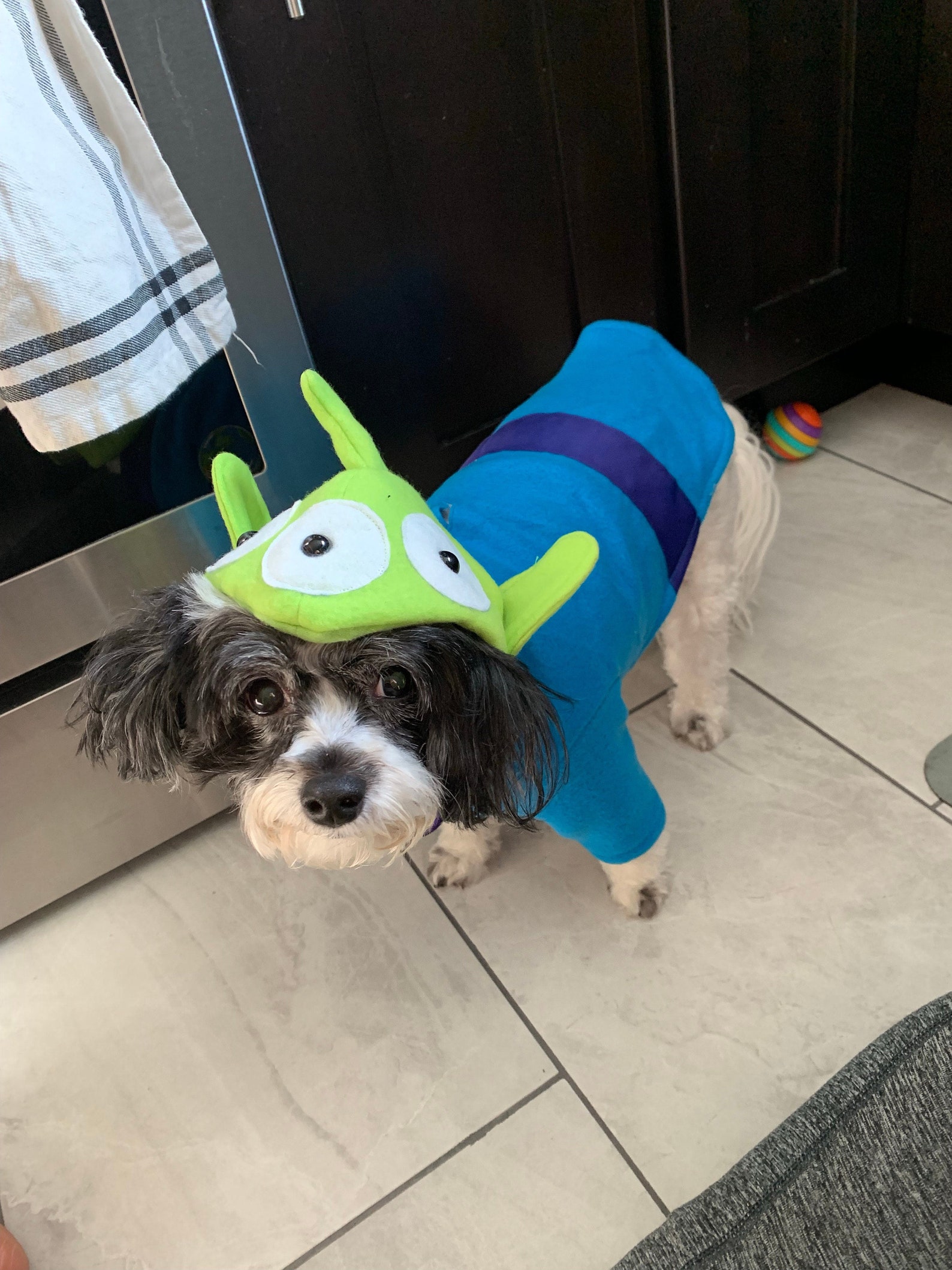 Alien Dog Costume Toy Story Alien Dog Outfit Halloween Dog - Etsy