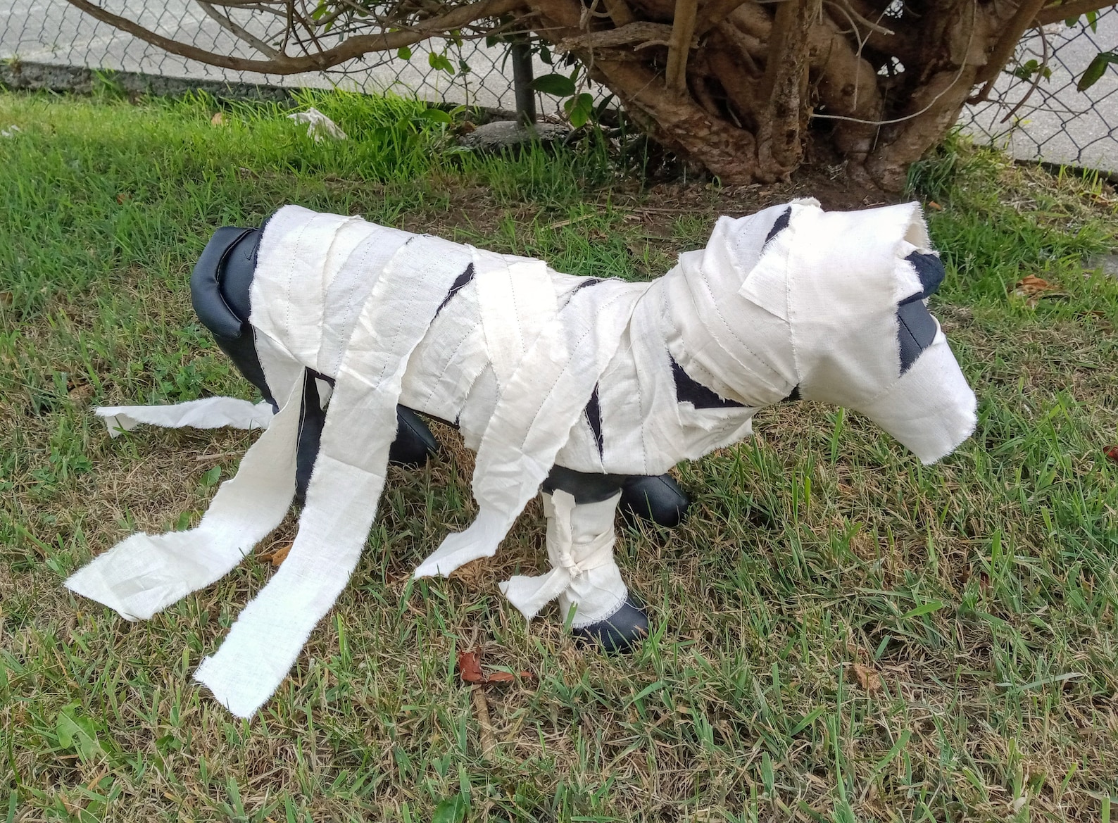 Mummy Dog Costume Halloween Dog Outfit Costume for Dogs | Etsy