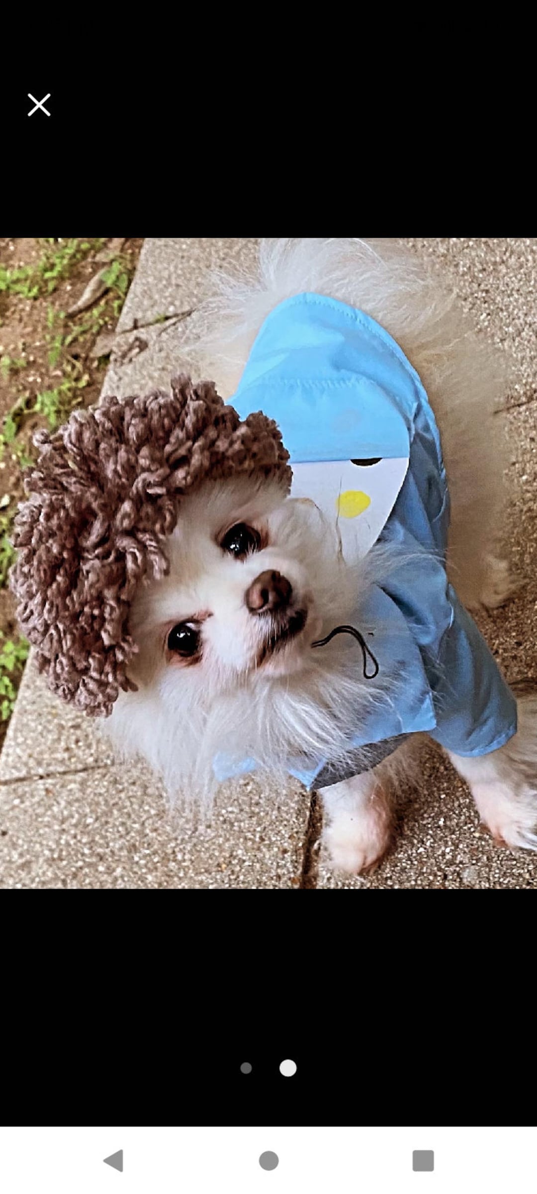 Bob Ross Dog Costume, Bob Ross Dog Shirt, Painters Dog Costume ...