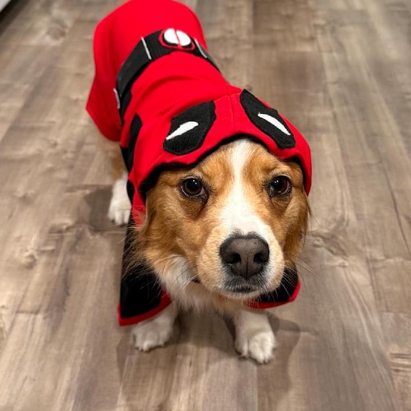 Deadpool Dog Costume - Etsy