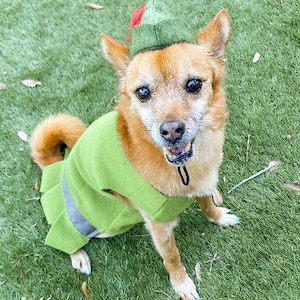 Peter Pan, Peter Pan Dog Costume, Peter Pan Dog Outfit, Robin Hood Dog ...