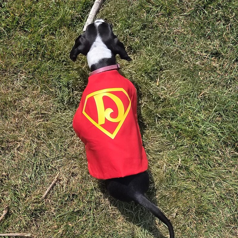 Cape - Etsy