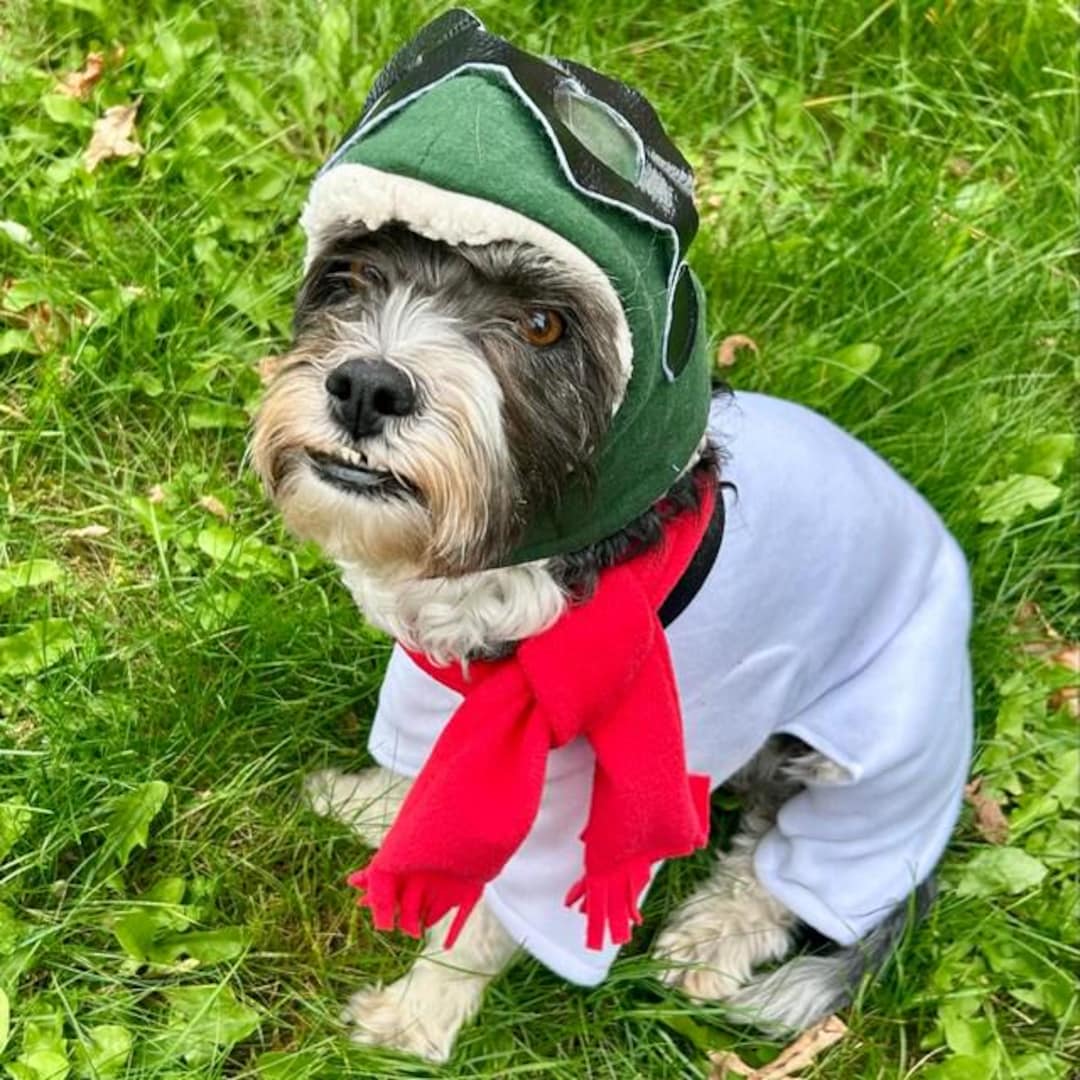 Red Baron Snoopy Dog Costume: the Peanuts Halloween Outfit - Etsy