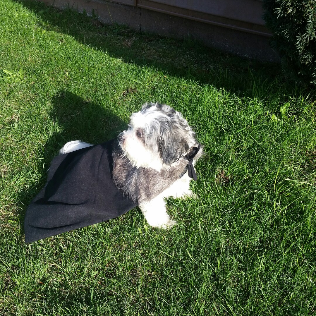 Games of Throne Jon Snow Dog Costume Games of Throne Dog - Etsy