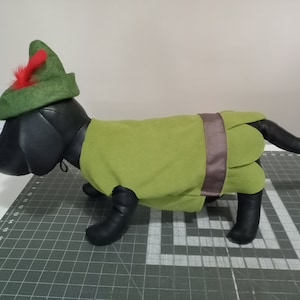Peter Pan, Peter Pan Dog Costume, Peter Pan Dog Outfit, Robin Hood Dog ...