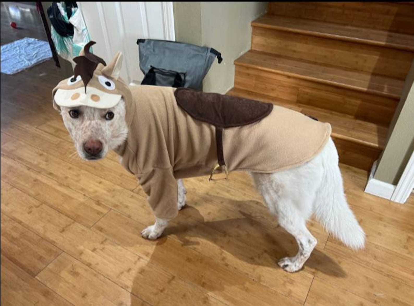 Bullseye Dog Costume, Inspired by Toy Story, Horse Dog Costume ...