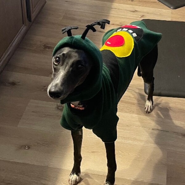 Plankton Costume - Etsy
