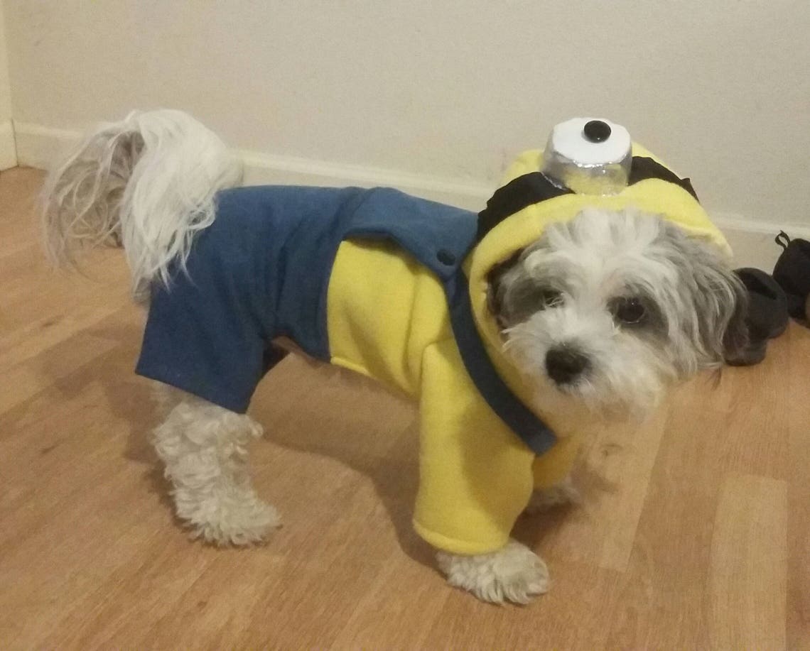 Minions Despicable Me Minion Dog Costume Halloween Dog - Etsy