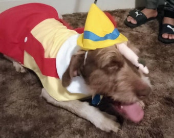Pinocchio Dog Costume - Etsy