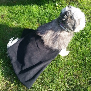 Games of Throne Jon Snow Dog Costume Games of Throne Dog - Etsy