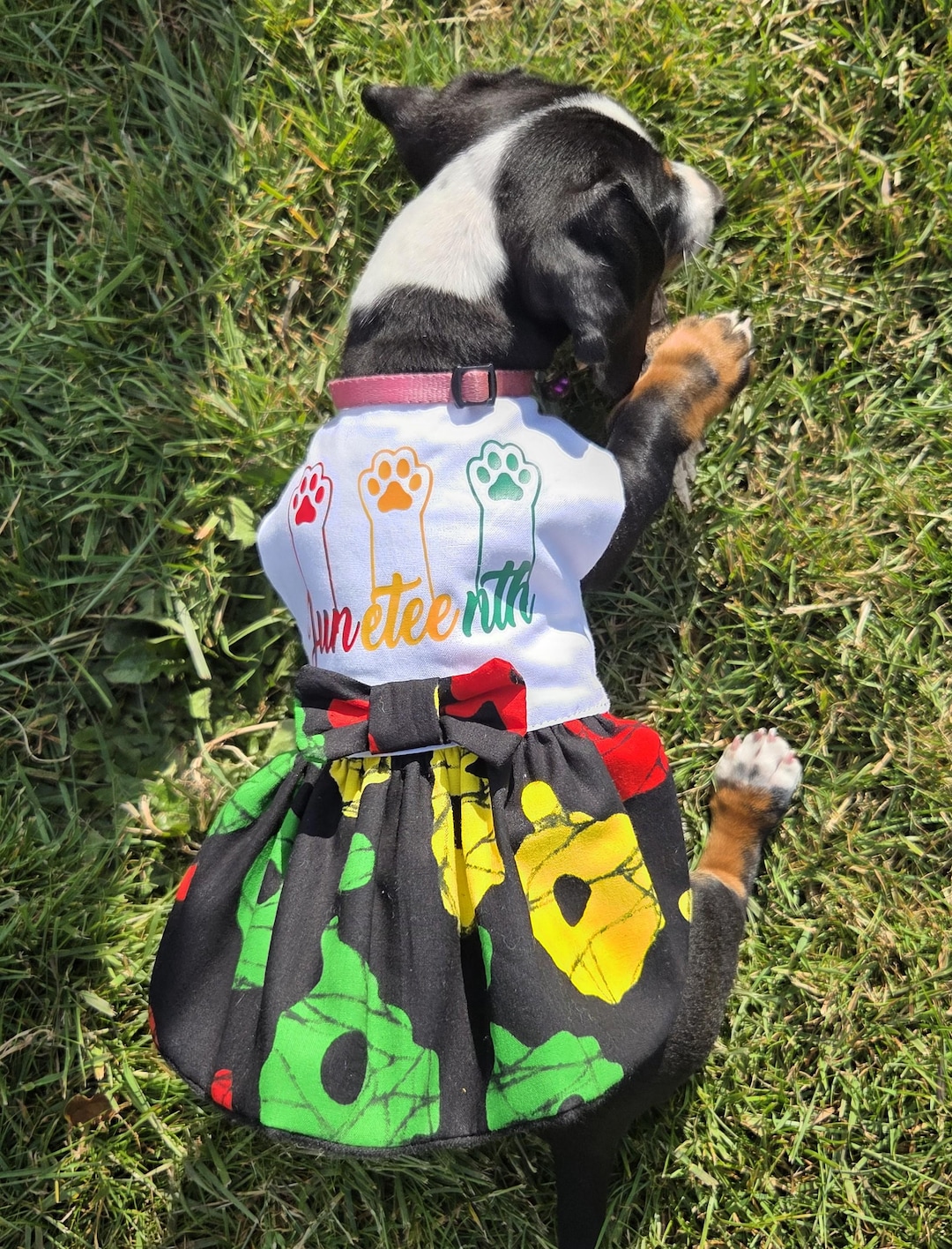 Juneteenth Gift, Juneteenth Dog Dress, Juneteenth Dog Costume, Dog ...