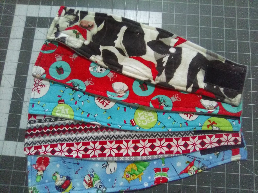 Pin On DOG | atelier-yuwa.ciao.jp