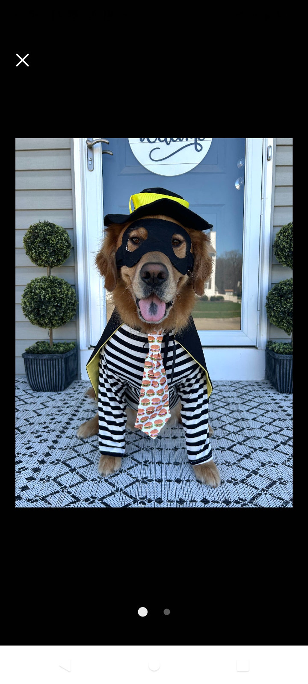 Hamburglar Dog Costume Mcdonald s Hamburglar Dog Costume Burglar Dog Costume Halloween Dog Costume Dog Costume Etsy