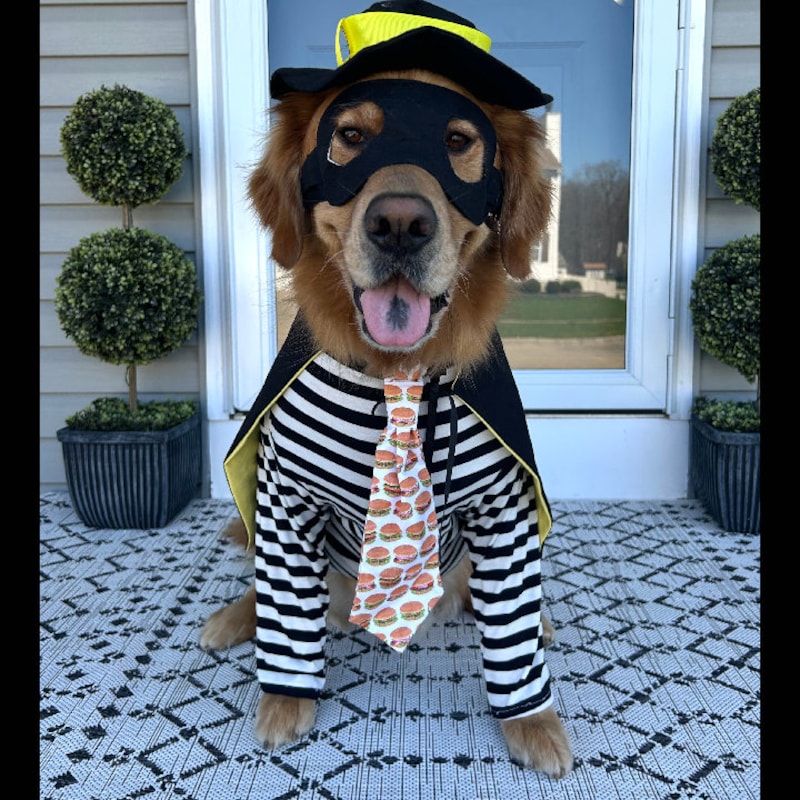 Dog Halloween Costumes - Etsy UK