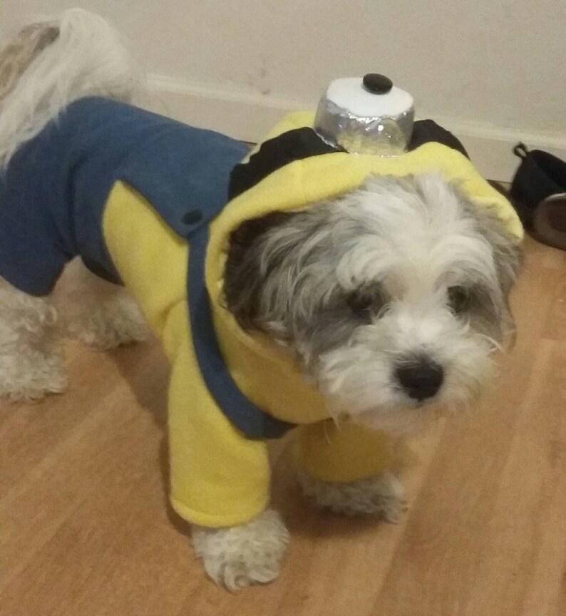 Minions Despicable Me Minion Dog Costume Halloween Dog - Etsy