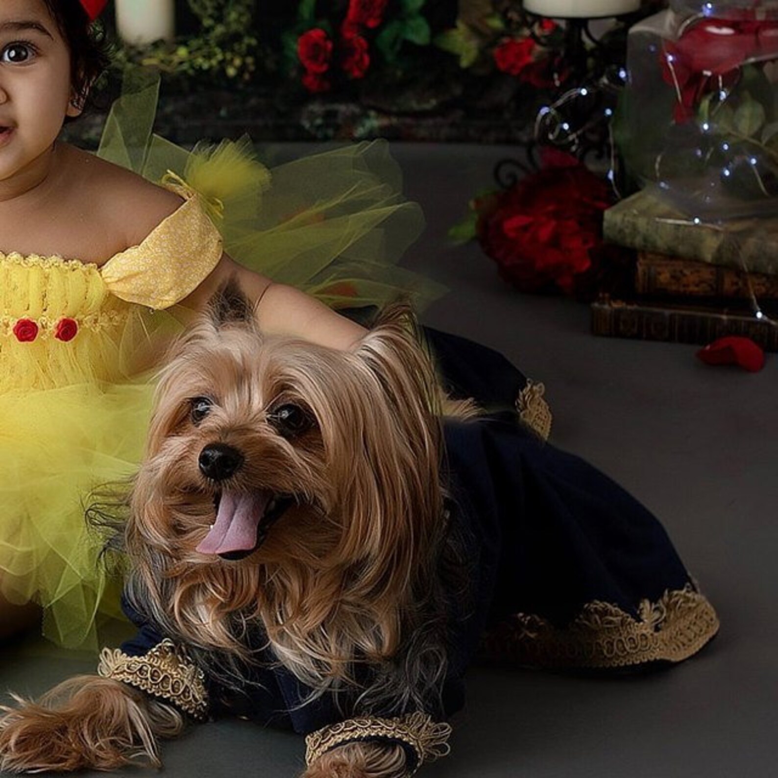 Beauty and the Beast Beast Dog Jacket Prince Dog Costume - Etsy
