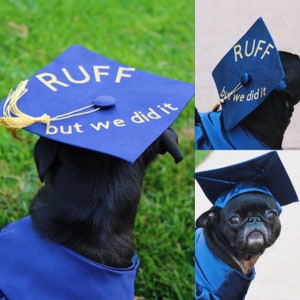 Personalized Graduation Dog Gown: Cap & Tassel - Custom Fit - Etsy