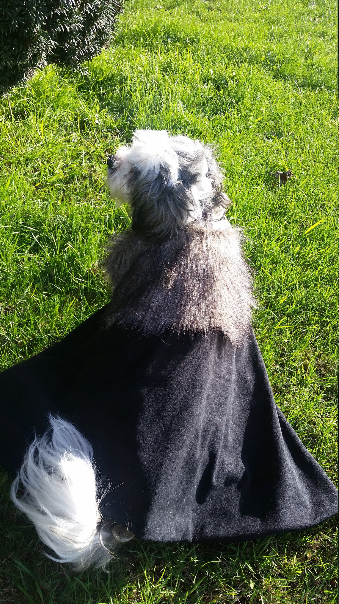 Games of Throne Jon Snow dog costume Games of Throne dog | Etsy