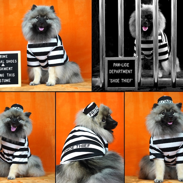 Prisoner Costume - Etsy