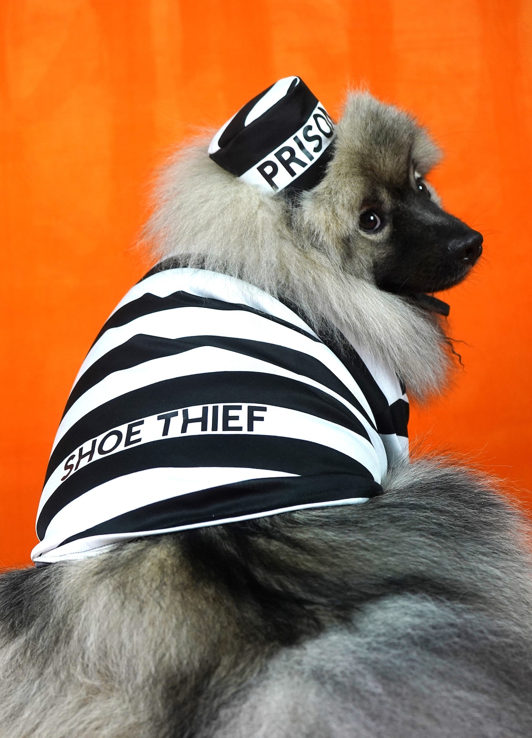 Prisoner Dog Costume: Halloween Jail Outfit With Hat - Etsy