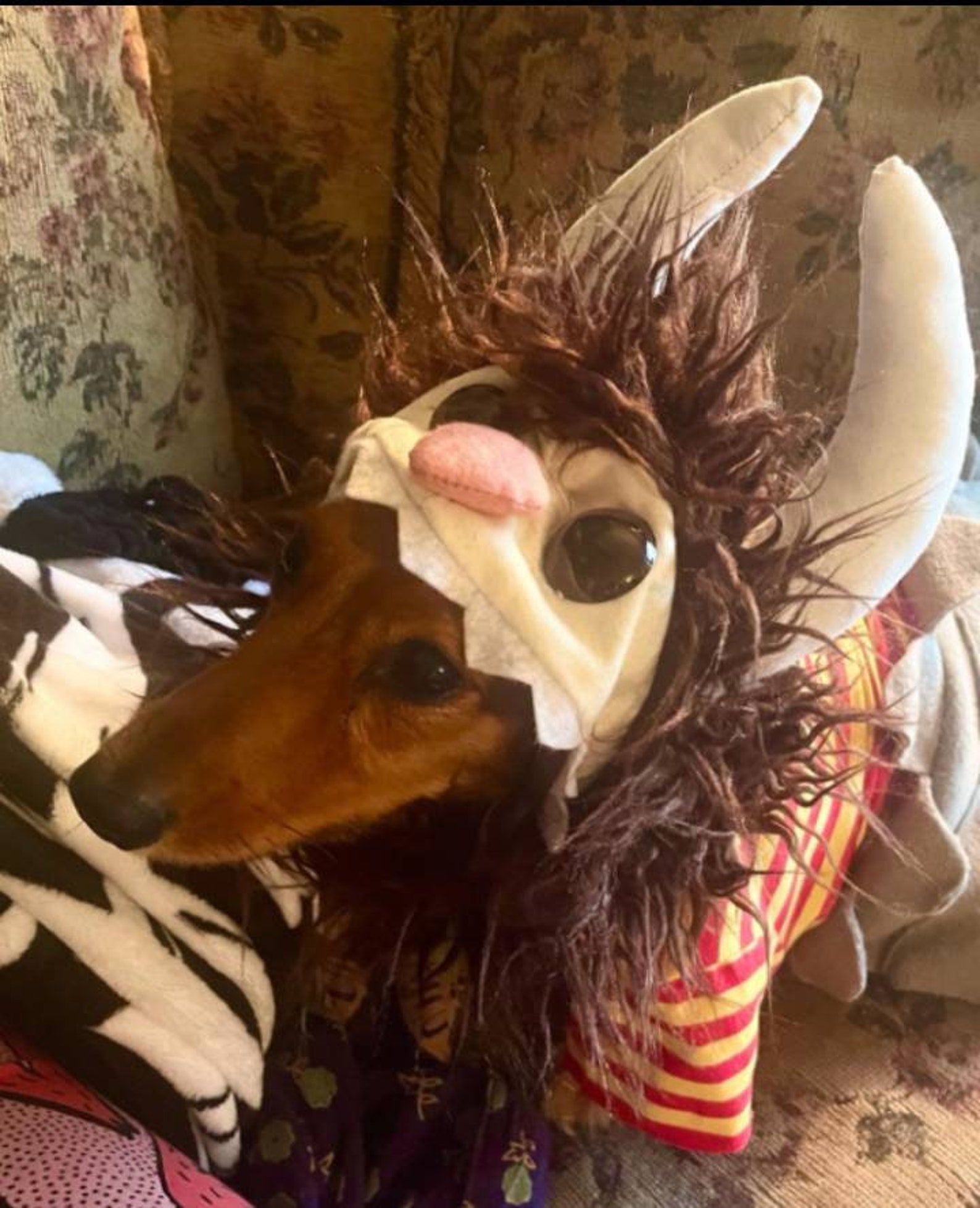 Where the Wild Things Are Dog Costume Wild Things Carol Dog - Etsy