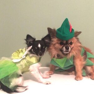 Peter Pan Peter Pan Dog Costume Peter Pan Dog Outfit Robin - Etsy
