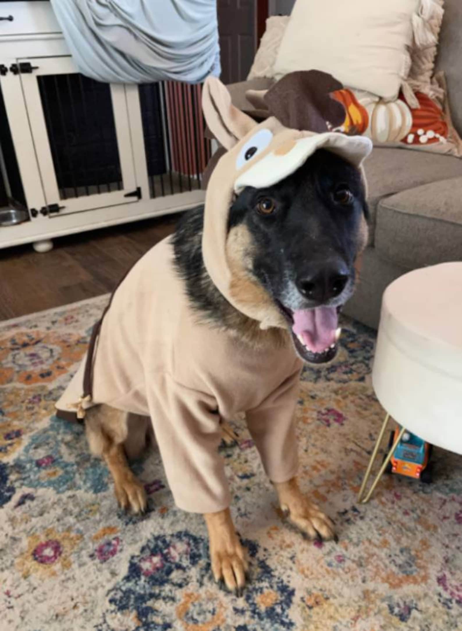 Bullseye Dog Costume, Inspired by Toy Story, Horse Dog Costume ...