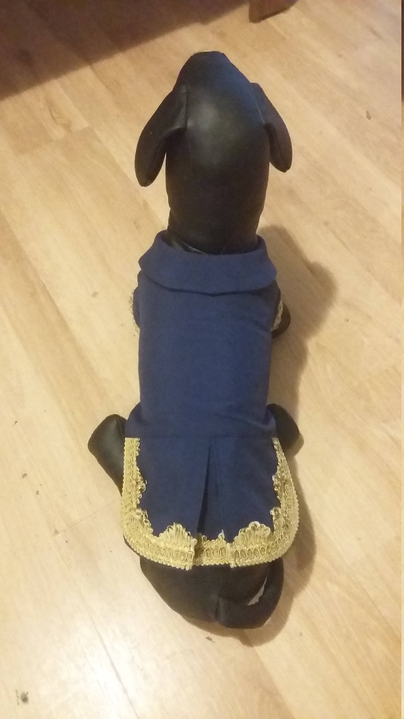 Beauty and the Beast Beast Dog Jacket Prince Dog Costume - Etsy
