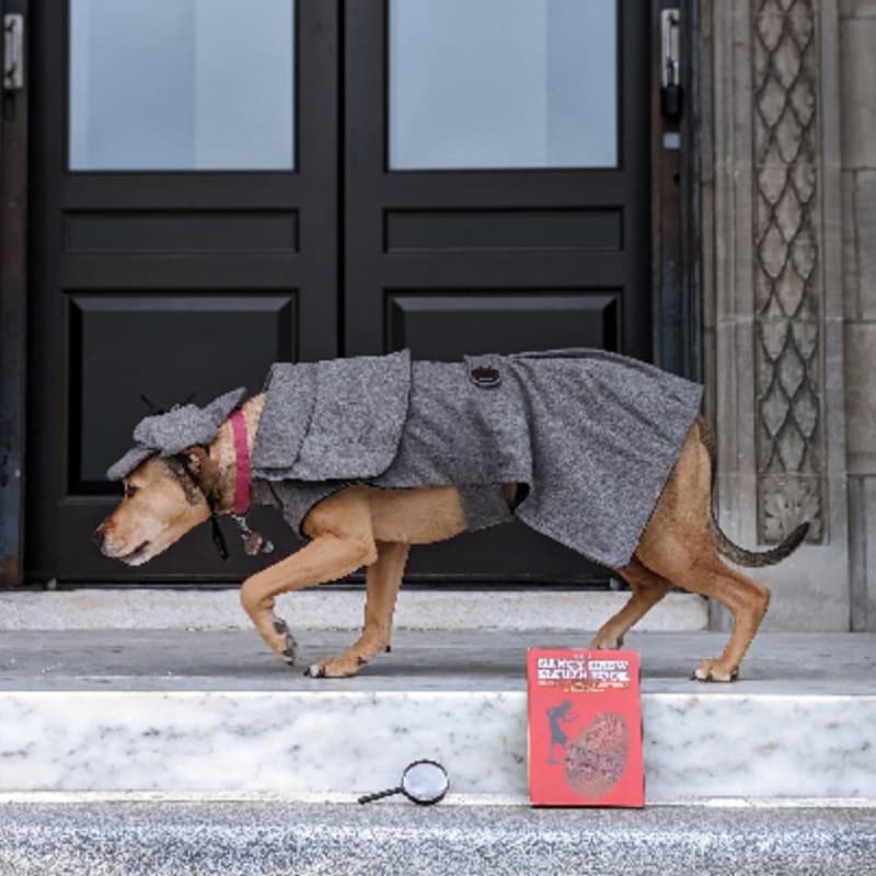 Sherlock Clothing - Etsy