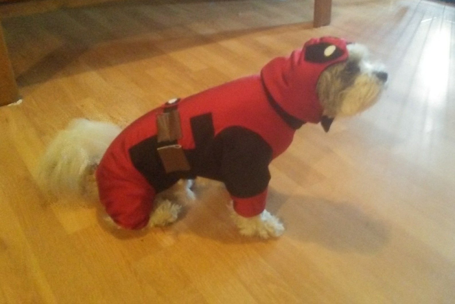 Deadpool Deadpool Dog Costume Halloween Dog Costume - Etsy UK