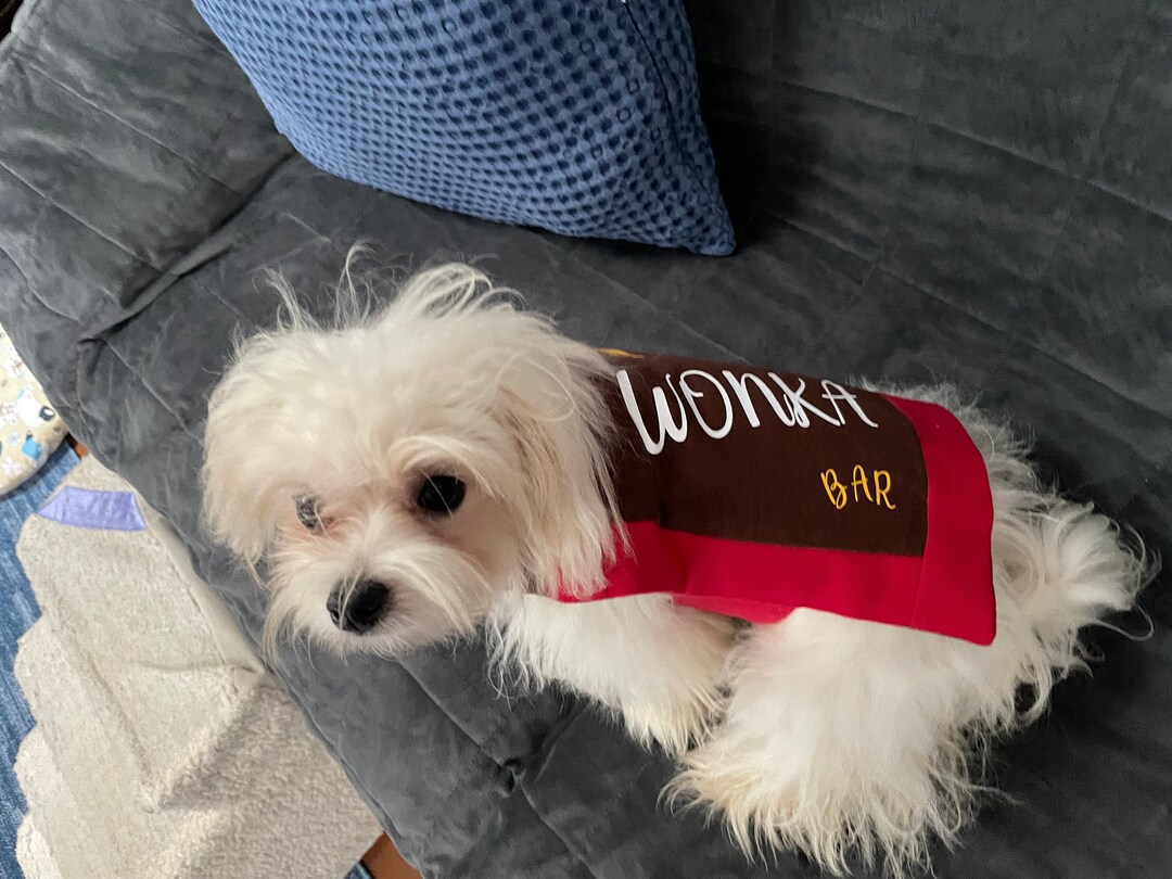 Wonka Bar Dog Costume Chocolate Bar Dog Costume Willie Wonka - Etsy