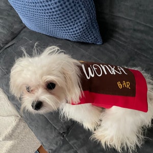 Wonka Bar Dog Costume, Chocolate Bar Dog Costume, Willie Wonka Dog ...